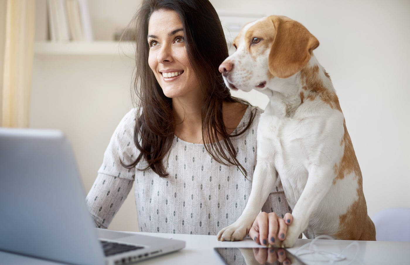 20 adorable photos of dogs at the office | by The b | The b | Jan, 2022 ...