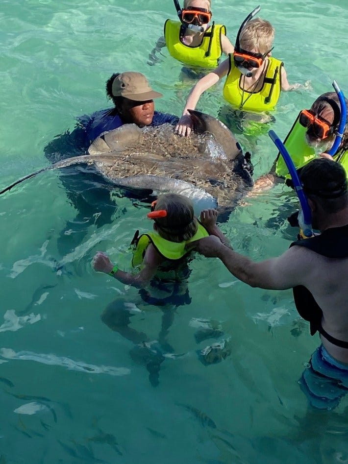 Seeing Stingrays at Half Moon Cay | by Todd Smith | Medium