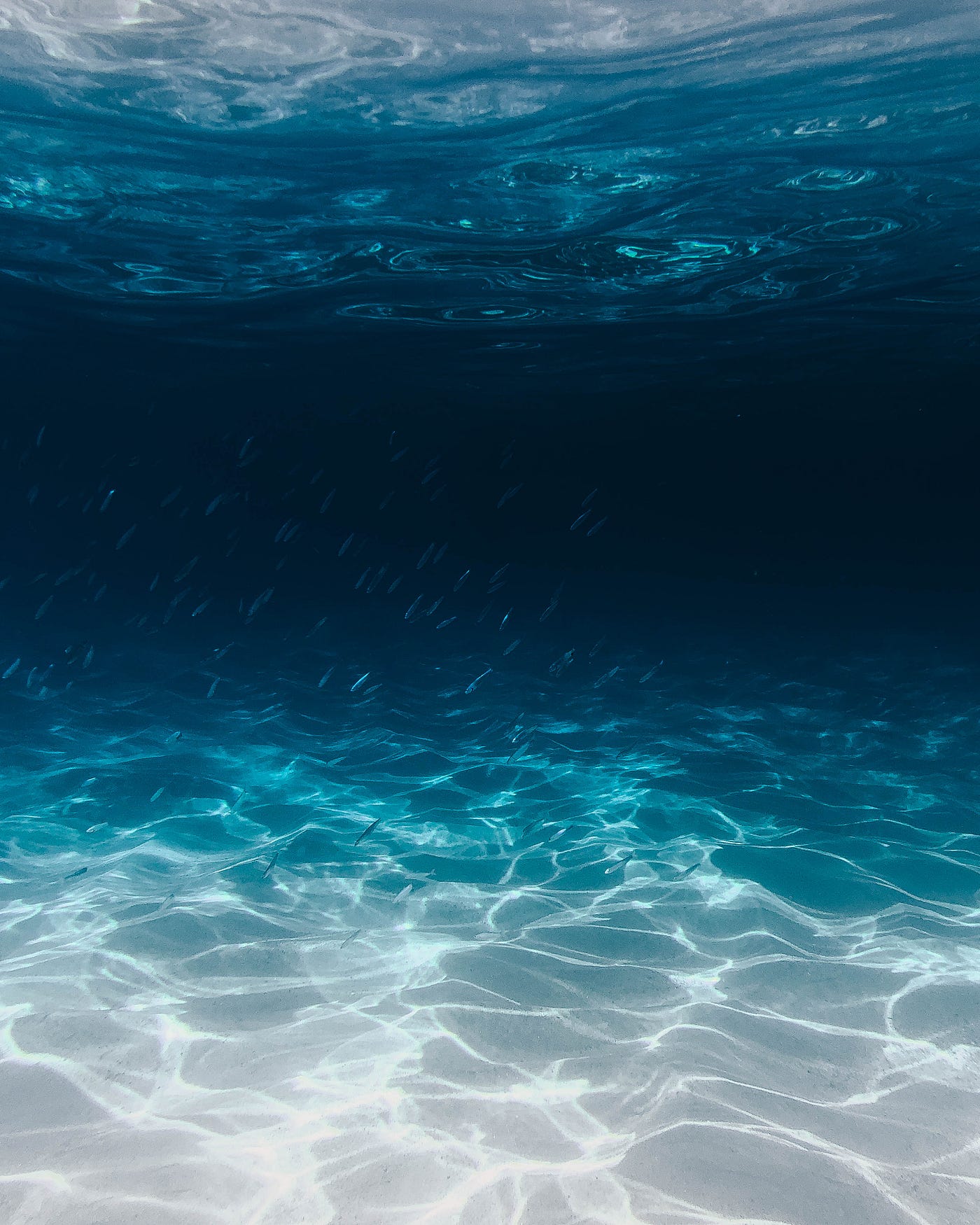 deep sea. Haiku 43 out of 1,000 | by Eashan Reddy Kotha | House of ...
