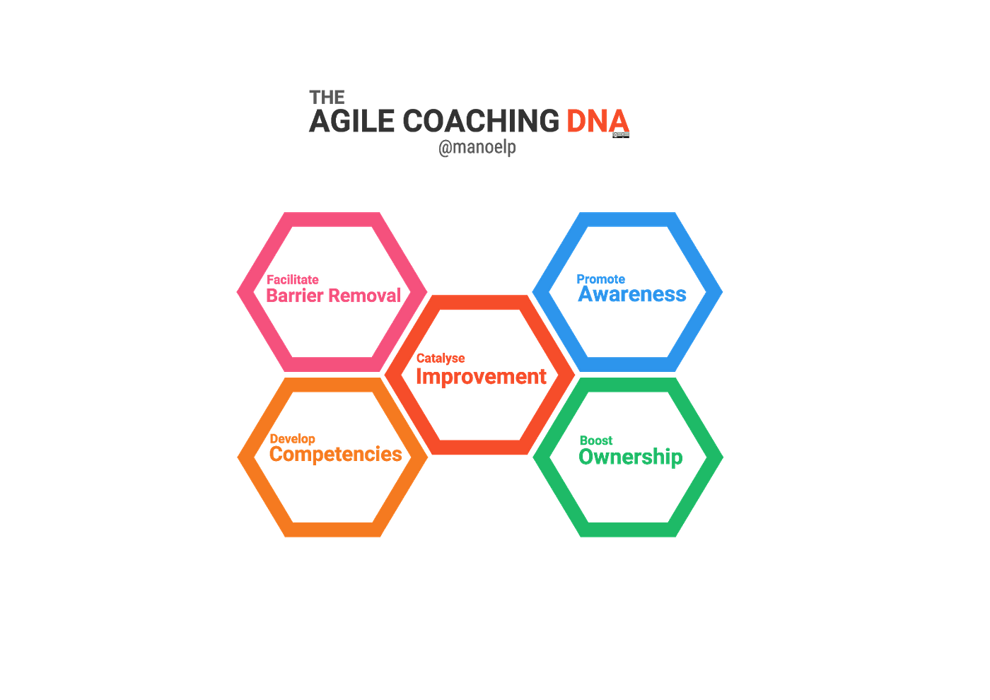 So what does an Agile Coach actually do | by Elabor8 Insights | Medium