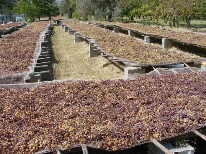 Italian dessert wine: How is made and why you should try it | by Vitium ...