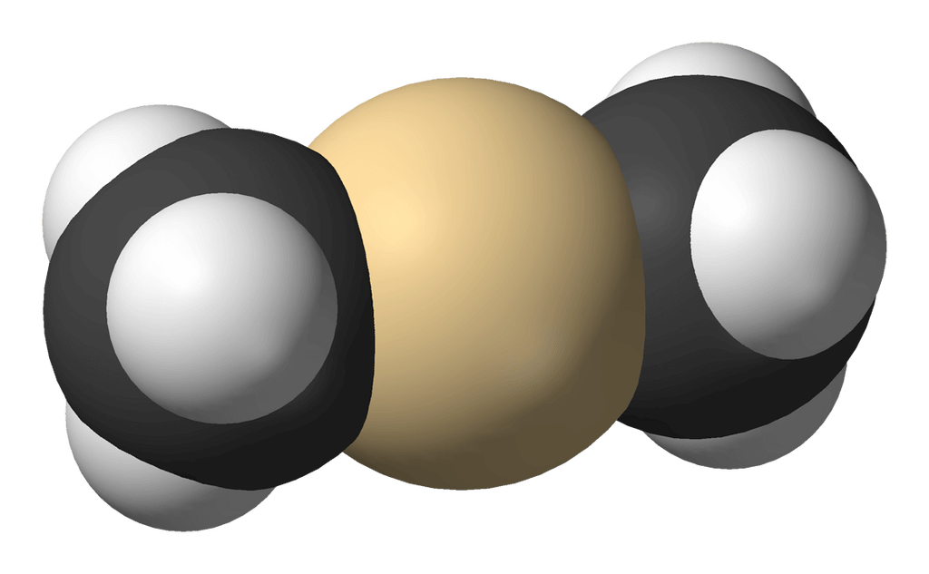 16 WORLD’S MOST DEADLY SUBSTANCES !!! | by Infinite Knowledge | Medium