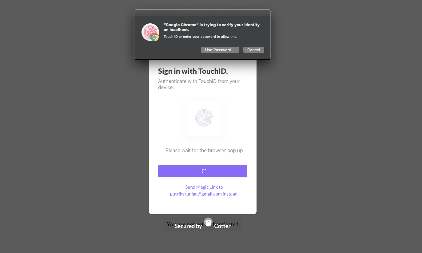 What is WebAuthn: Logging in with Touch ID and Windows Hello on the web ...