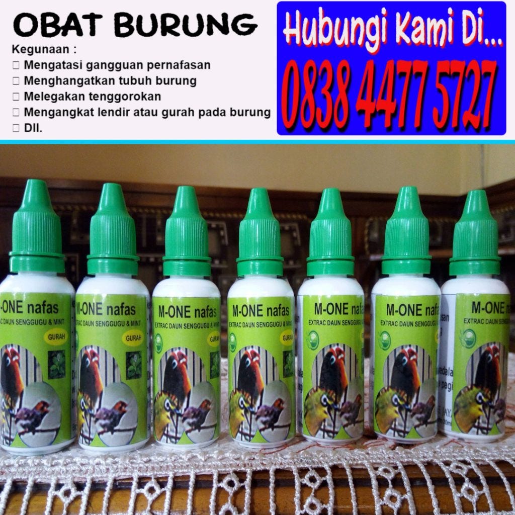 Obat Snot Buat Burung Lovebird. Obat snot buat burung lovebird = Ada ...