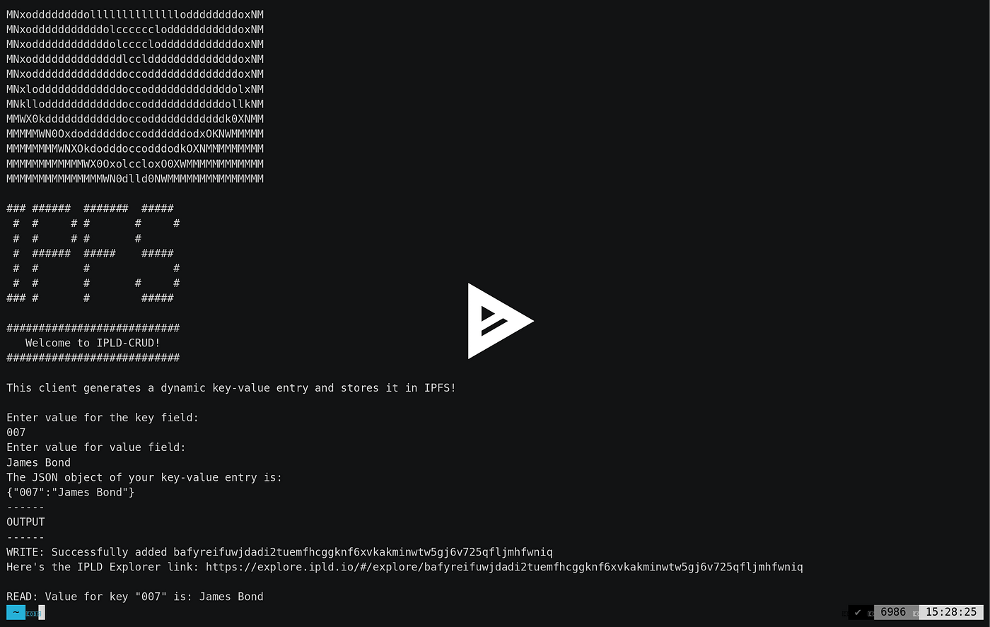Hands-on IPLD Tutorial in Golang. In this first post of the hands-on… | by vasa | Coinmonks | Medium