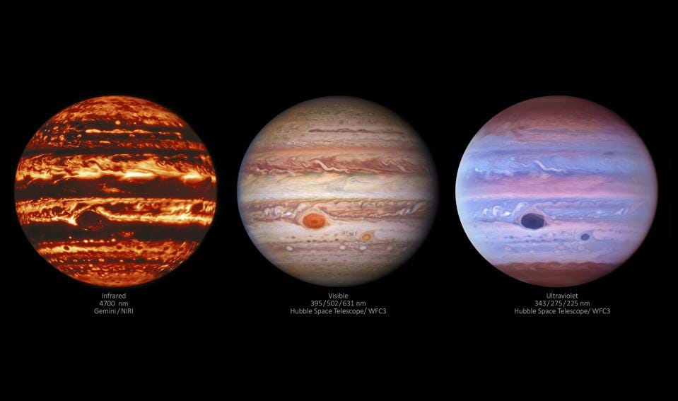 Astronomers Go Nuts For Closest Exoplanet Directly Imaged Ever ...