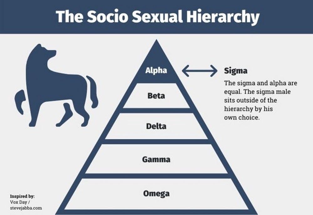 10 Best Traits Of A Sigma The Rarest Male Personality Type By Noah