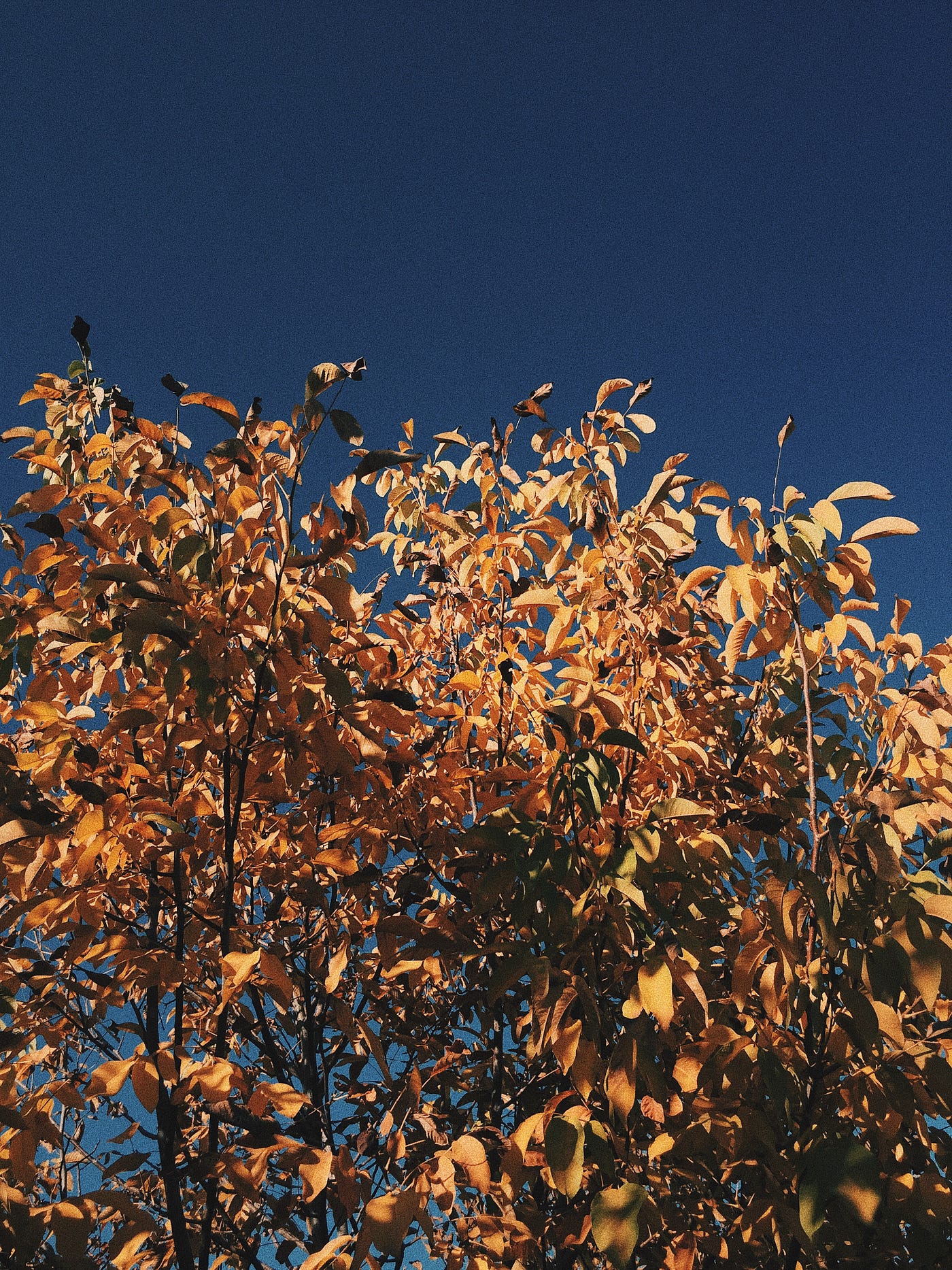 An Ode to Central Air Conditioning | by Jo An Fox-Wright Maddox | Boomers, Bitches, and Babes ...