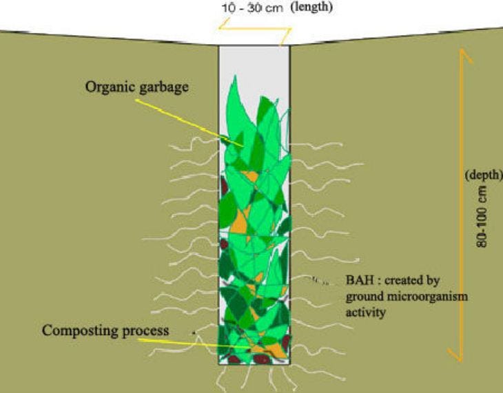 Tips making holes Biopori for infiltration | by Julia Momoka | Medium