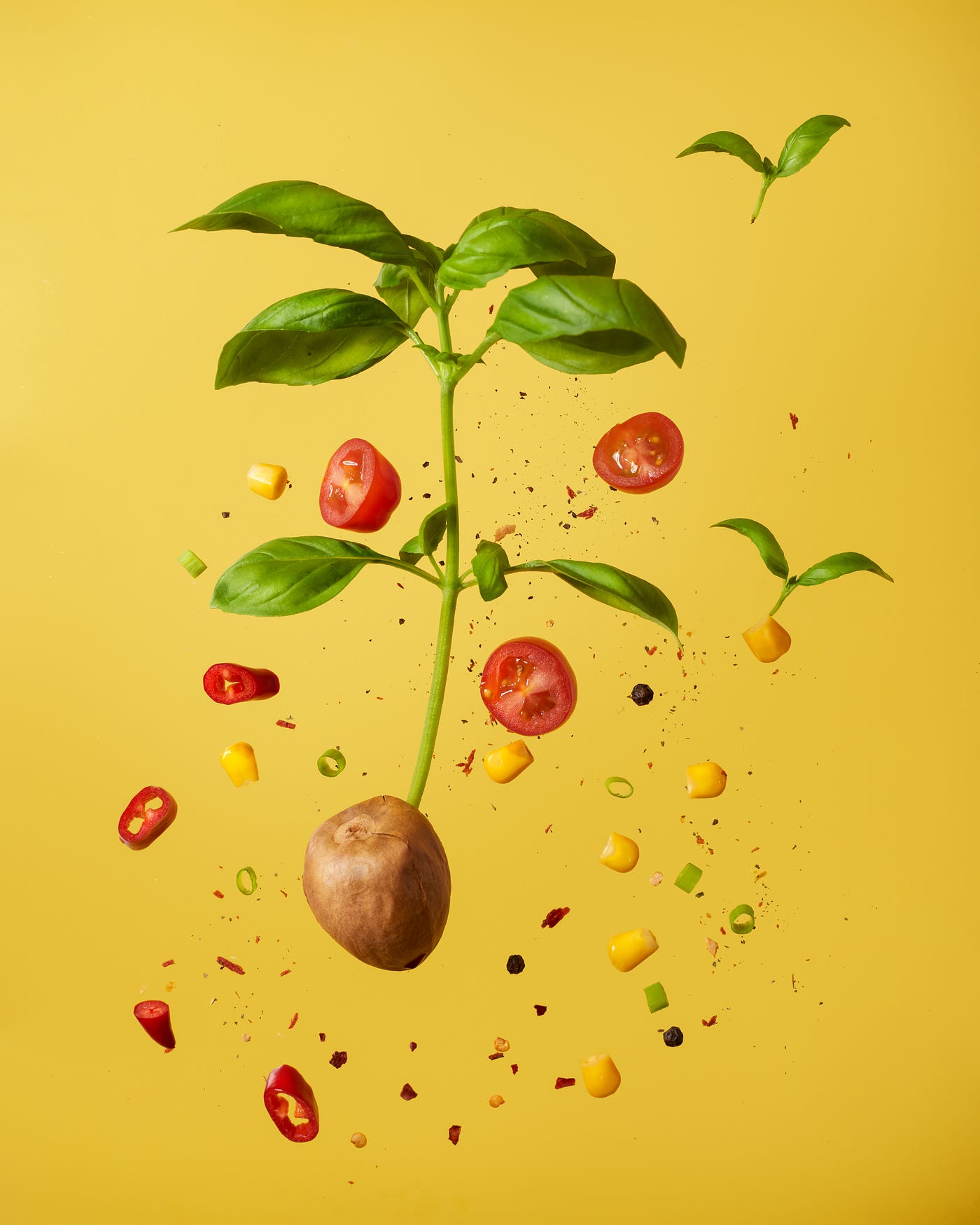 5 Easy Superfoods Your Diet Needs in 2022. | by Mona Samani | Medium