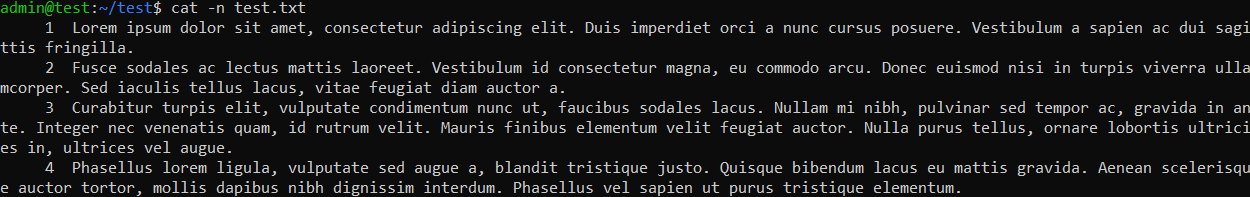 5 terminal linux commands for beginners | by Ivan Katkov | Sep, 2022 ...