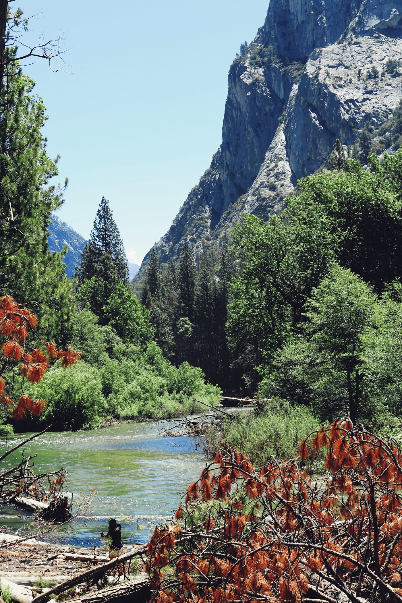 California National Parks Ranked. Which is the Best of the Bunch? | by ...