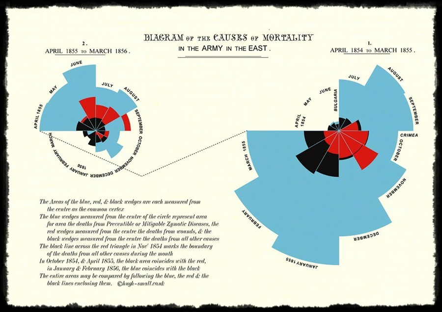Florence Nightingale O Diagrama Da Rosa E O Impacto Visual By Thais