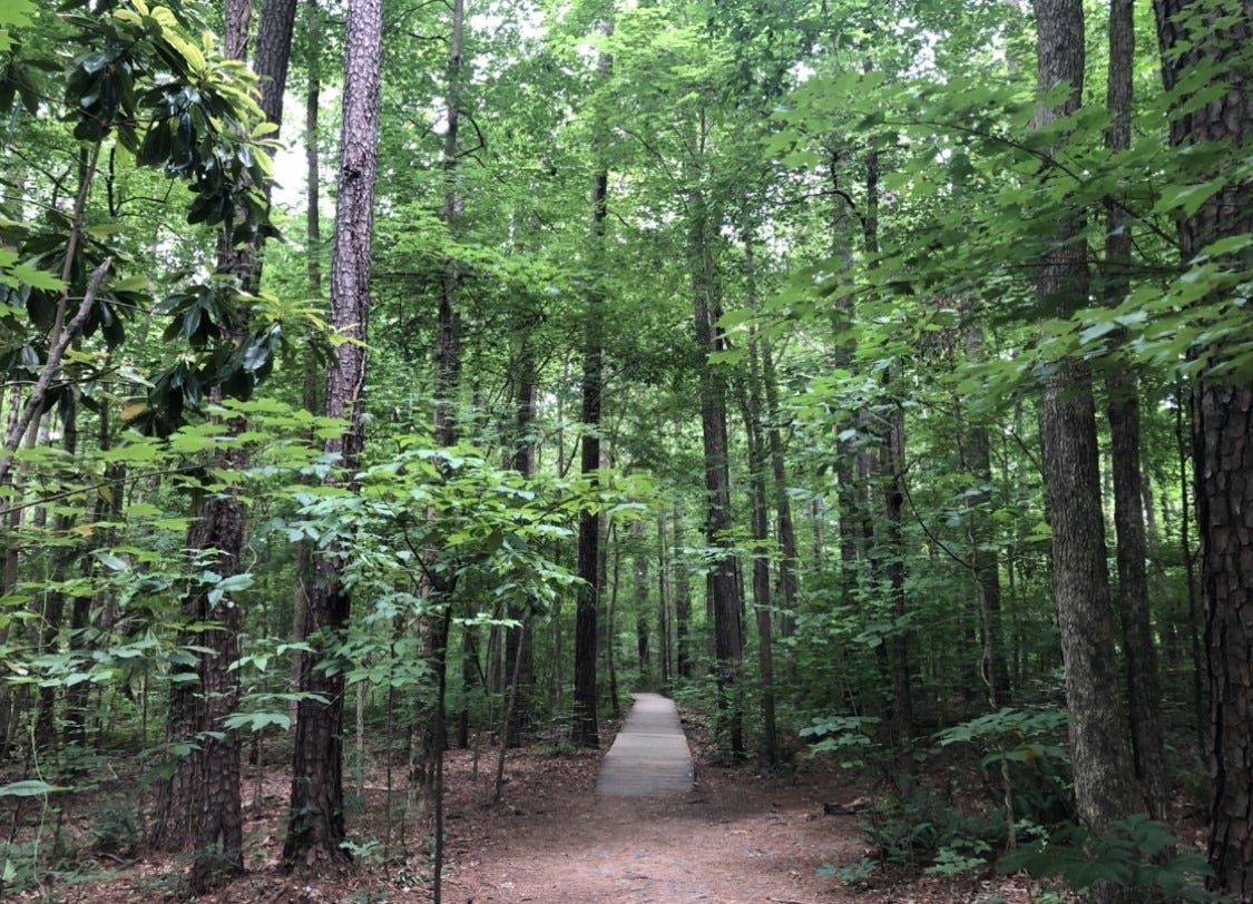 Visit North Carolina State Parks This Summer To Get Your Fill Of ...