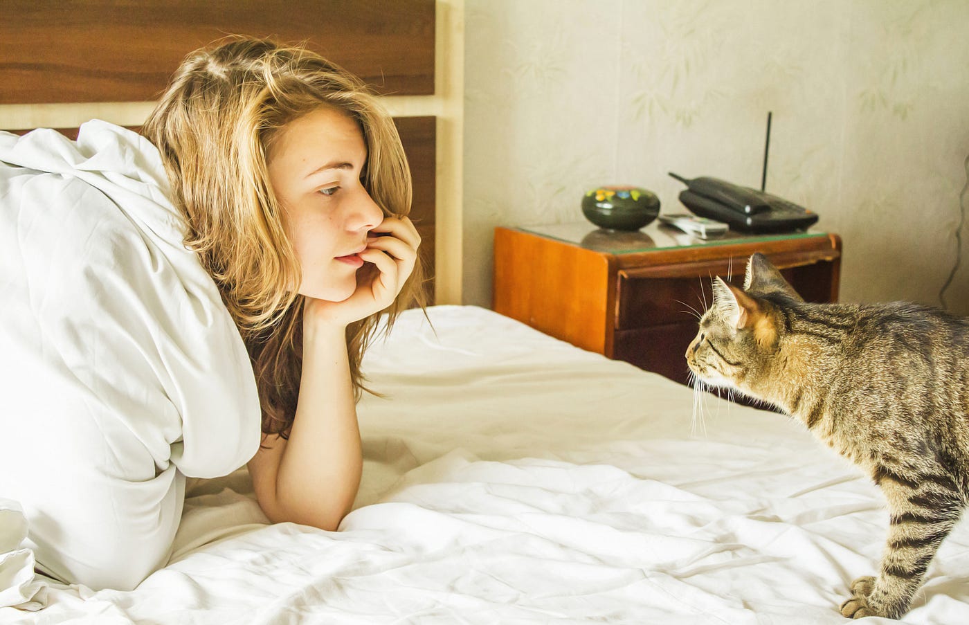 15 things you didn’t know about cat lovers | by The b | The b | Mar ...
