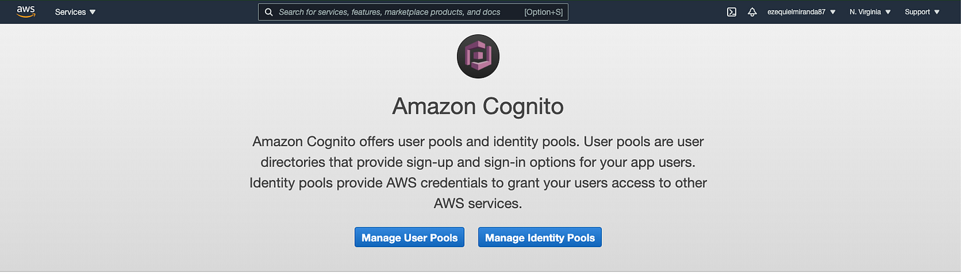 Tutorial: Getting Started with Amazon AWS IoT, MQTT Protocol and Node JS | Dev Jam