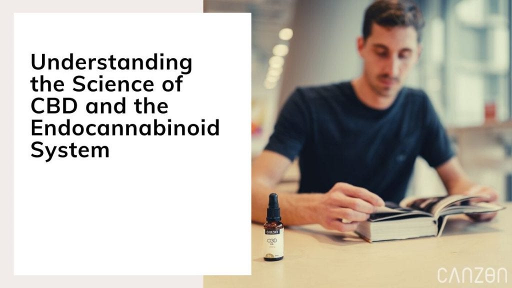 Understanding the Science of CBD and the Endocannabinoid System | by ...