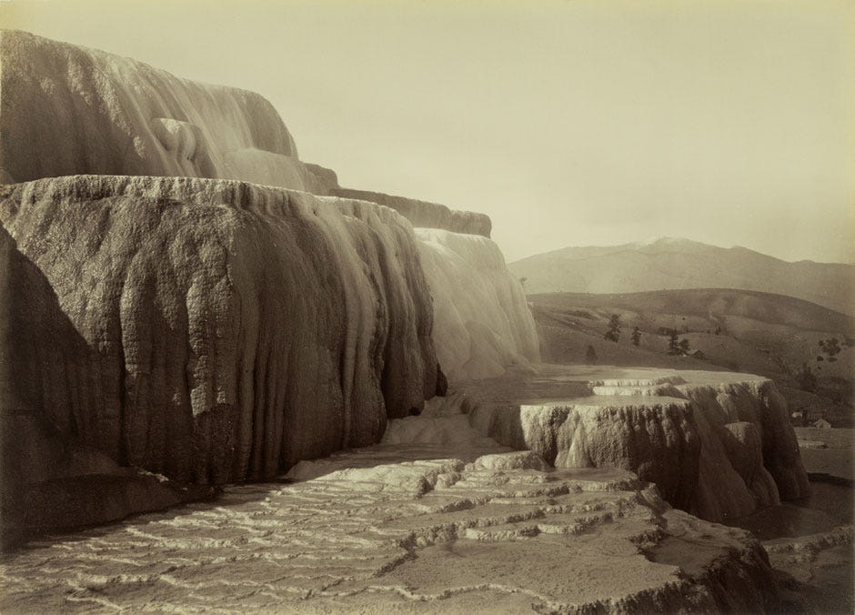 11 incredible wilderness photographs from the 1800's | by The ...