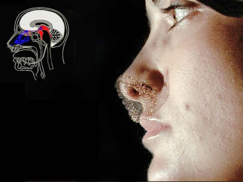Speculative Sensory Augmentation Devices | by Lesley-Ann Daly ...