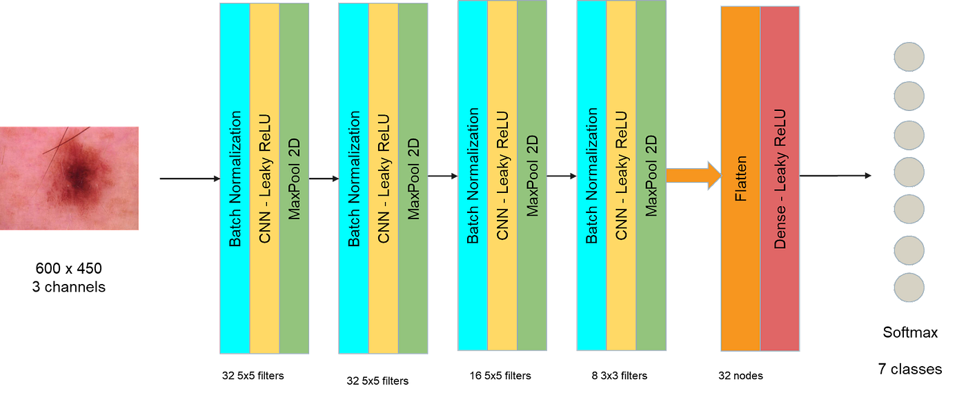 Convolutional Neural Network for Skin Cancer Classification | by Avery ...
