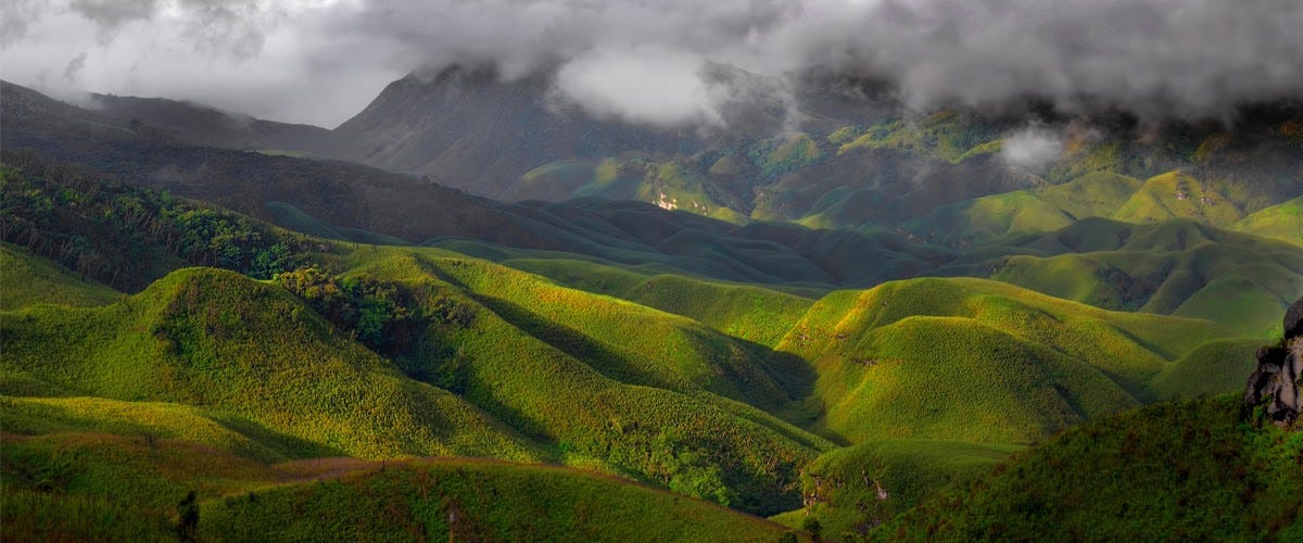 Assam Tour with Nature Hunt. Assam is a state in India that is rich ...