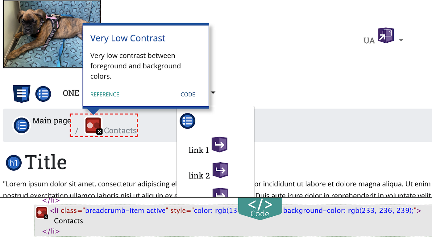 Where to start improving your website accessibility | by Alina ...