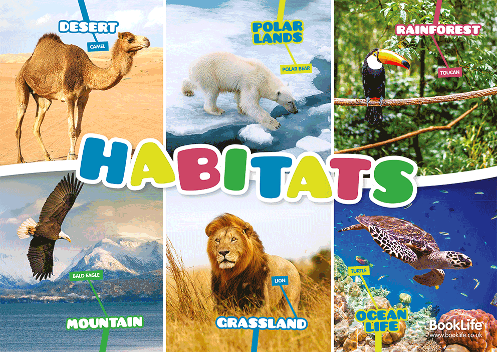 What Are Habitats?. Hello students! | by Isabella Romero | EDTC 3300 ...