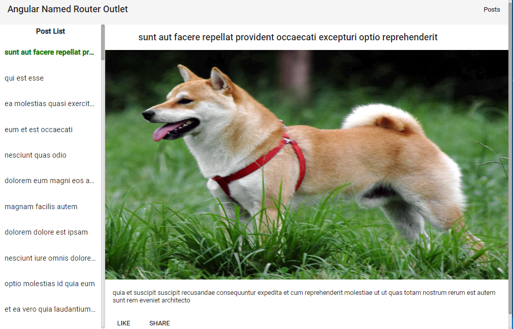 How to Create a Dynamic Layout using a Named Router Outlet in Angular | by Or Anaki | Medium