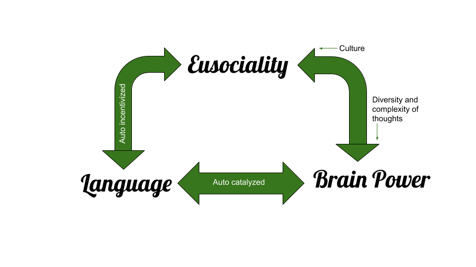 The evolutionary milestones that created us: A complex systems approach ...
