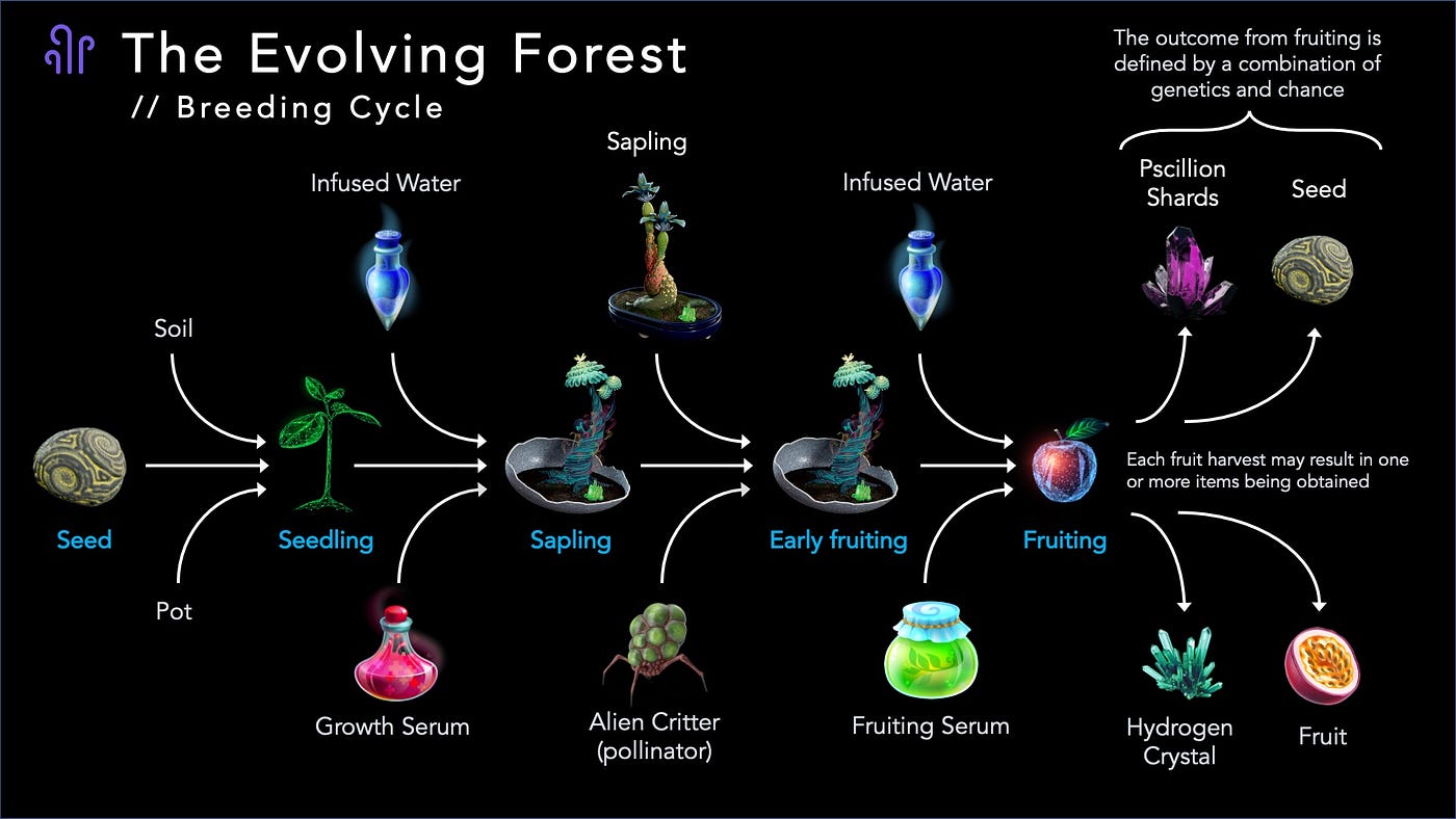 Exploring the New Play-to-Earn: Evolving Forest | by Multifarm.fi | Oct ...