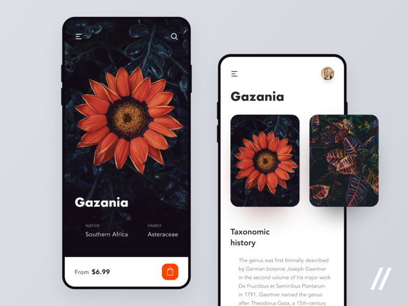 Top 12 UX Trends for Mobile Apps. Mobile design, typography, face id ...
