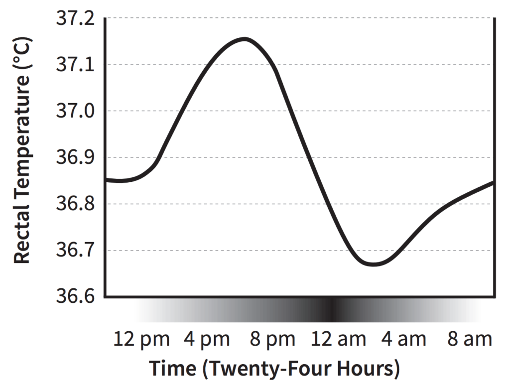 How To Sleep Well In A Modern World | by Arno Slabbinck | In Fitness ...