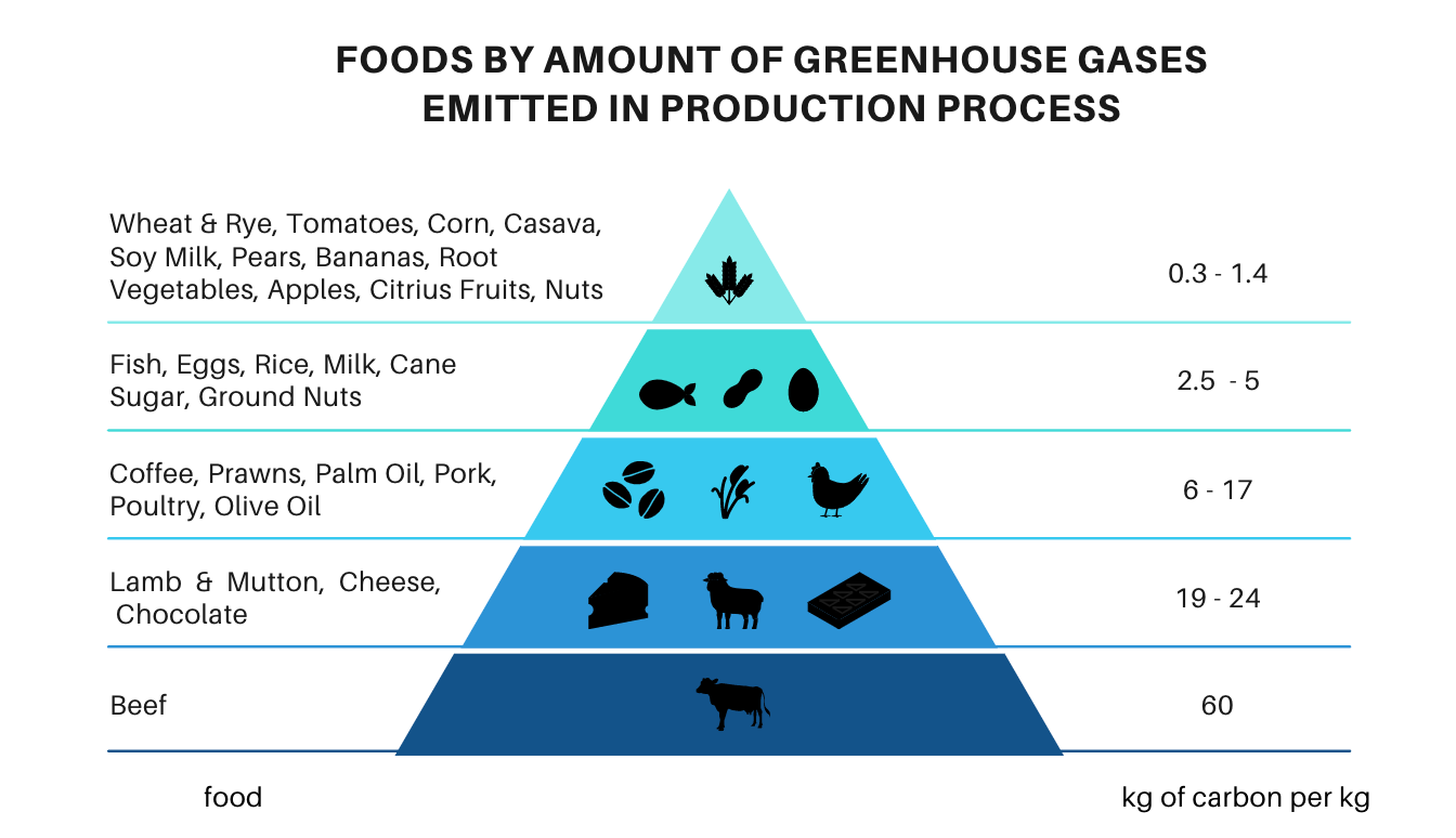 Watch Your Carbon Footprint: Food | by Carbonbase | Medium