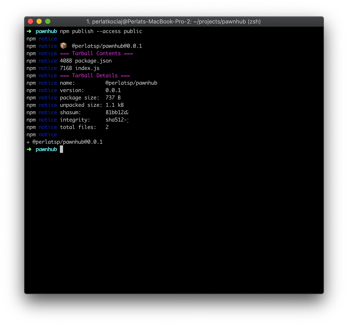 How to Create and Publish NPM Packages | by Perlat Kociaj | Weekly ...