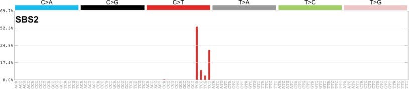 Understanding Mutations — Visualizing Mutational Catalogue | by Cameron ...