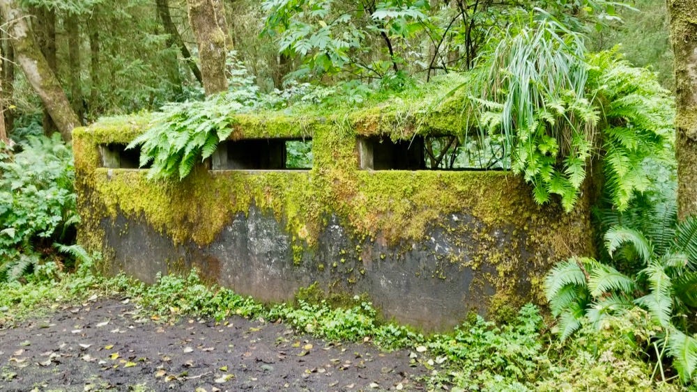 8 Amazing Oregon Coast Hikes You Must Do Part 1 | by Rich Conklin | Medium