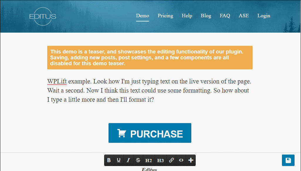5 Best WordPress Front End Editor Plugins For Easy Content Creation | by Zubayer Rahman Sayem ...