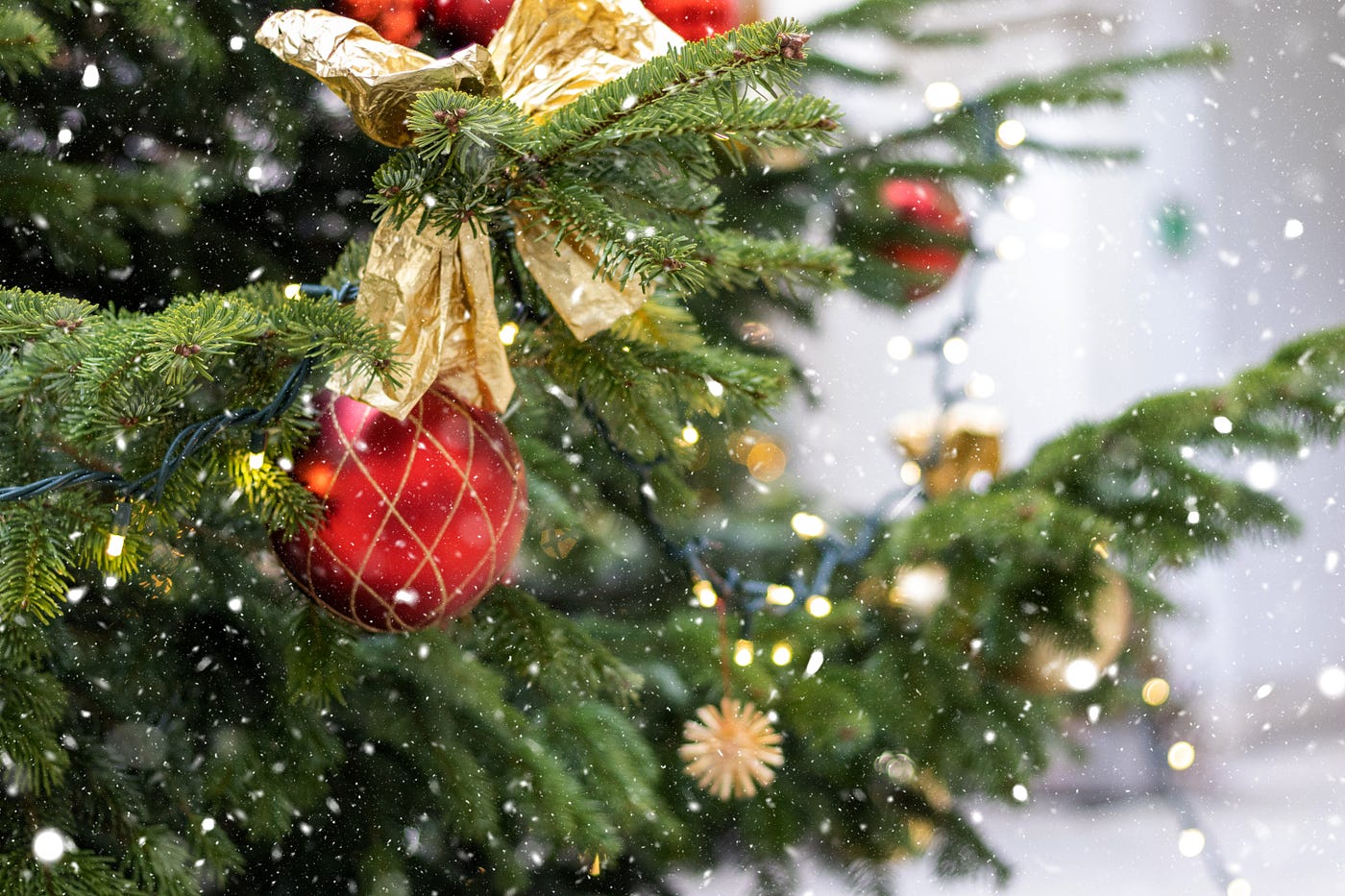 How to Build the Perfect Christmas Tree | by Cassandra Armstrong | Nov ...