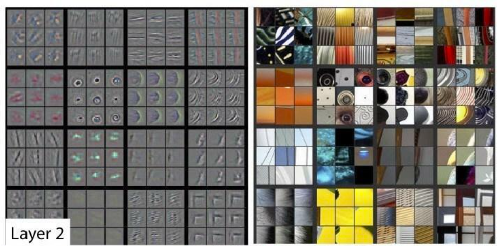 The Basics of Image Recognition and its Potential | by Dylan Yeung ...