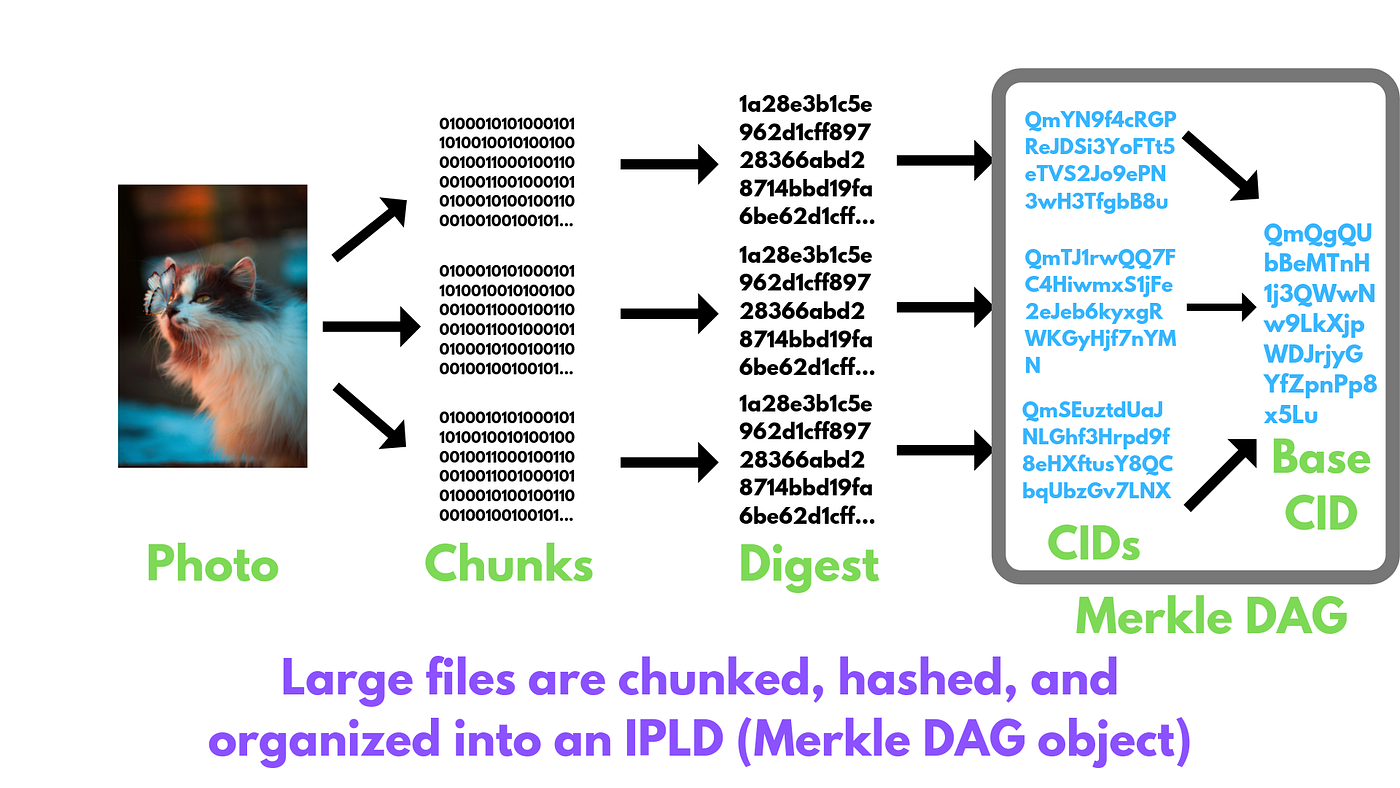 Hands-on IPLD Tutorial in Golang. In this first post of the hands-on… | by vasa | Coinmonks | Medium
