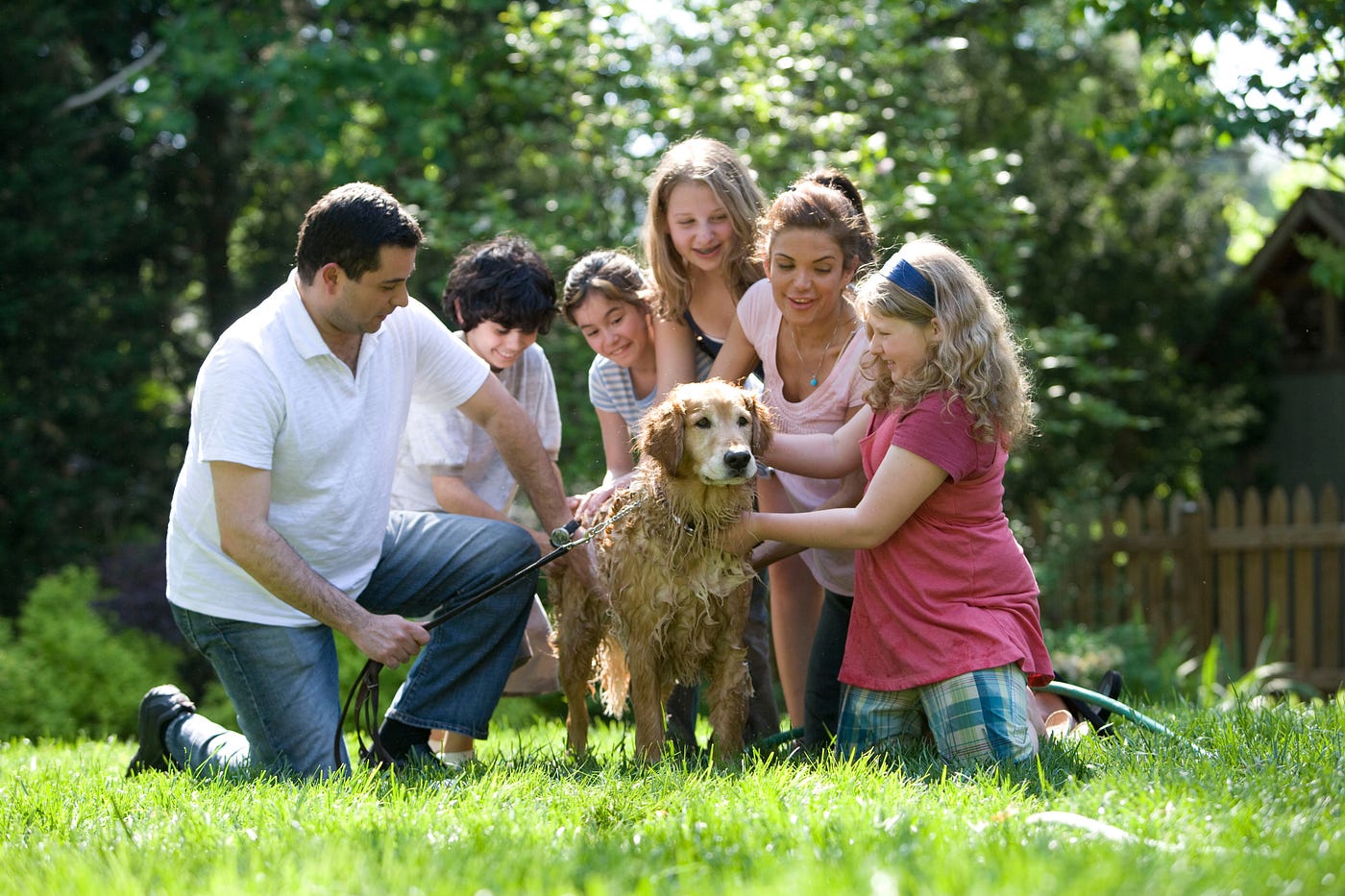 5 Best Dog Breeds for Kids and Families | by Bilal Jaleel | Medium