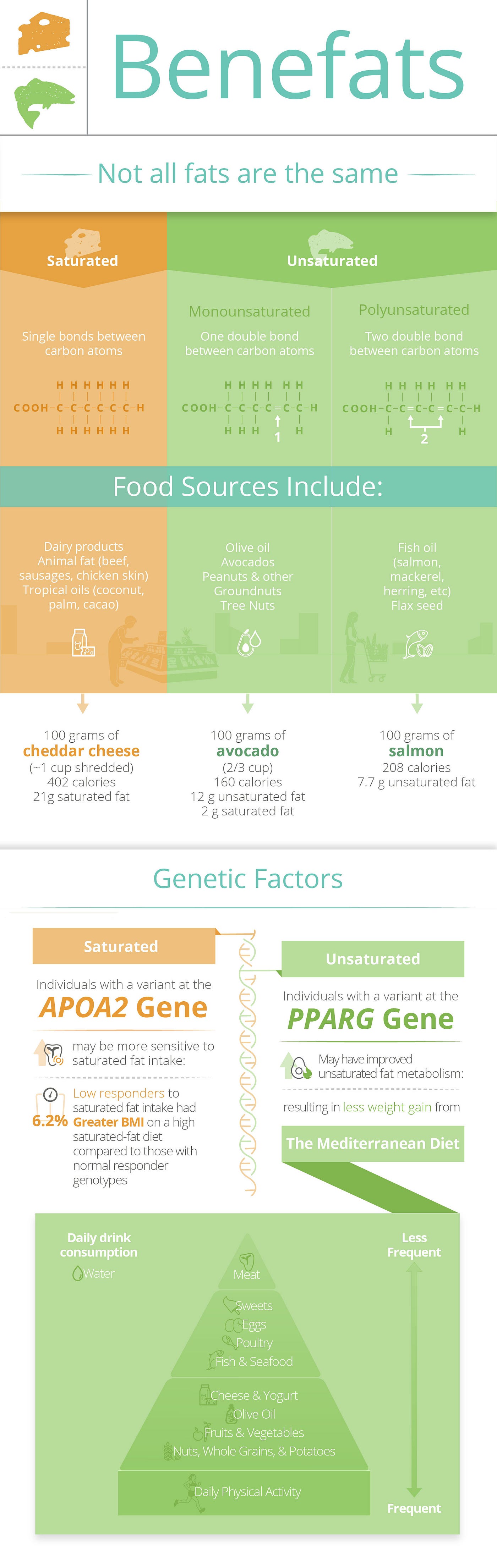 Frustrated with fats? Feed you genes | by Athletigen, Inc | Medium