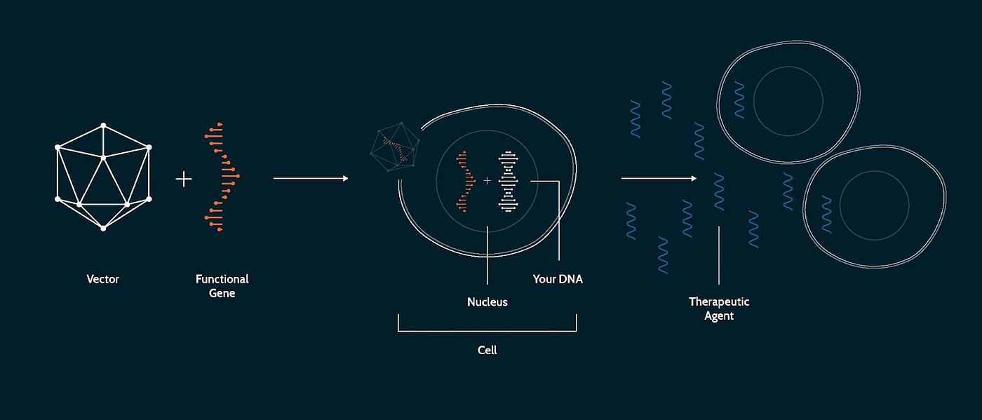 Case study on Regenxbio. Build with Axial… | by Axial | Axial | Aug ...