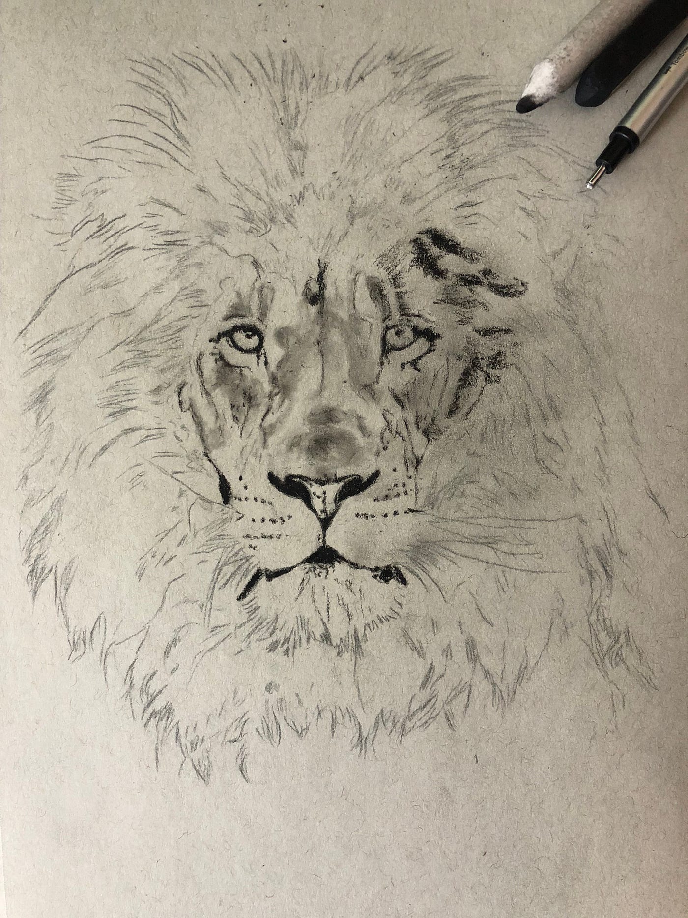 How To Draw A Realistic Lion Step By Step In Pencil