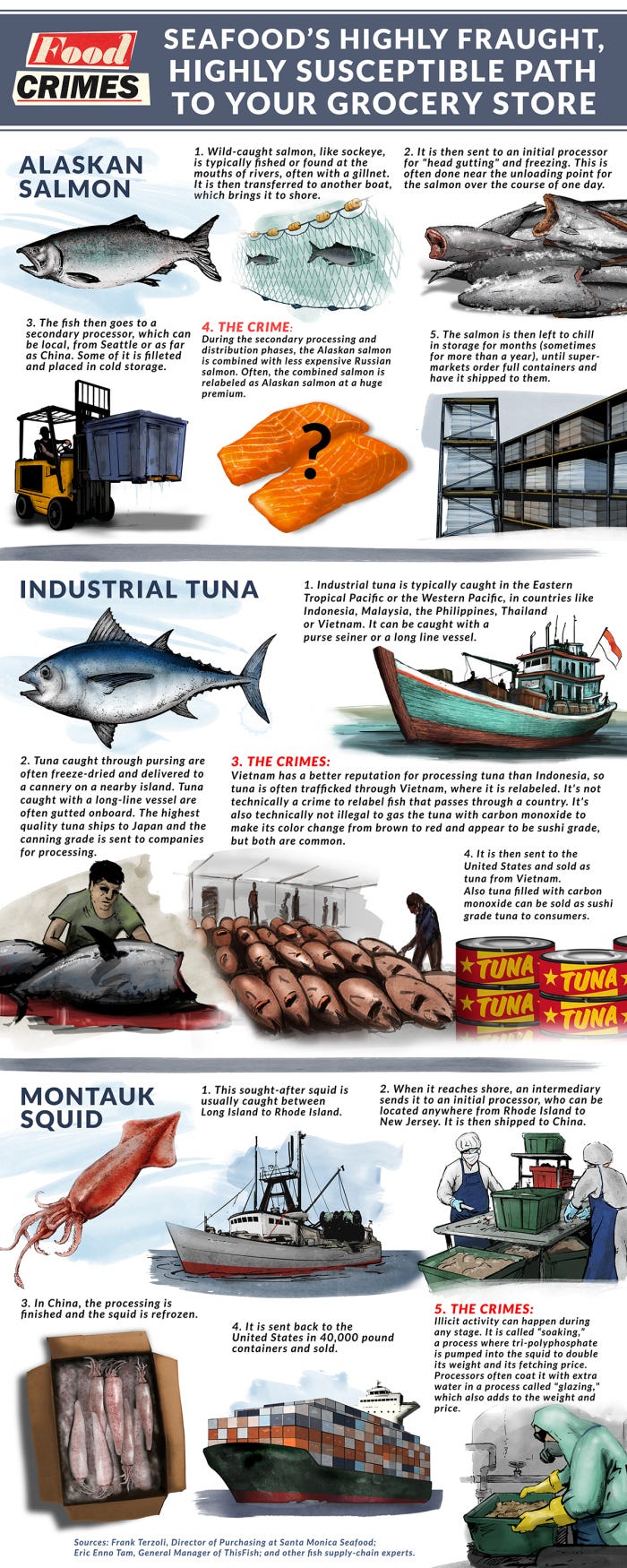 How And When Some Seafood Is Mislabeled And Mistreated | by Christine ...