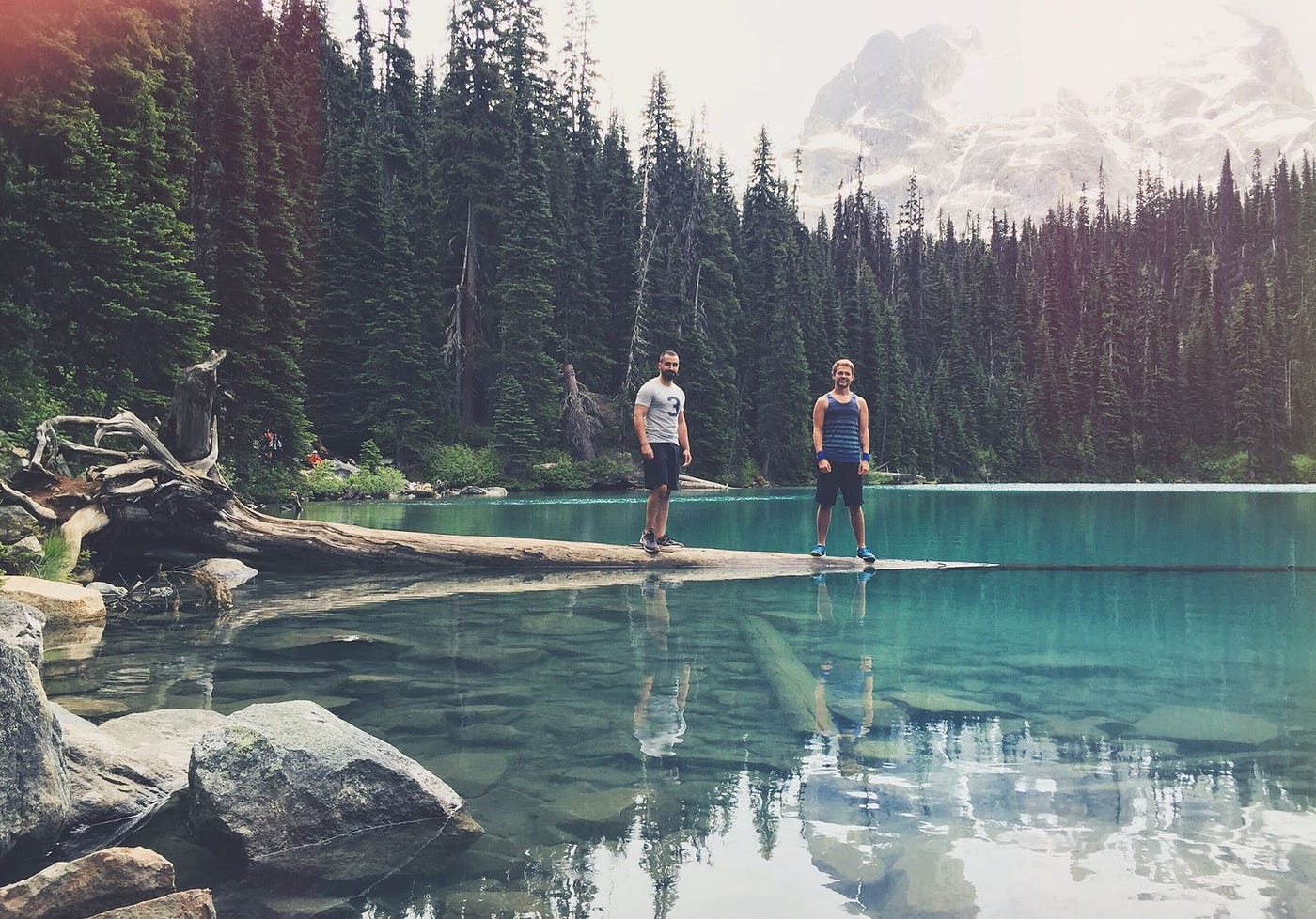 11 Questions for a Blockchain Community Manager — Justin Veenema, BlockCAT | by @Judy Gordon ...