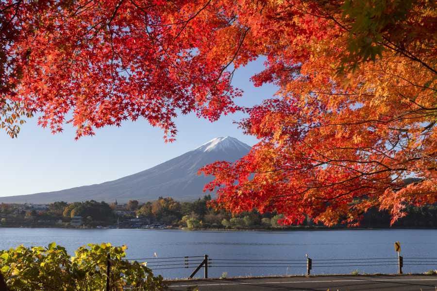 【Travel Japan】Tokyo Autumn Leaves: 10 Best Koyo Spots for a Beauti-Fall ...