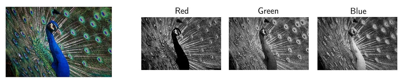 Visualizing Kernels and Feature Maps in Deep Learning Model (CNN) | by ...