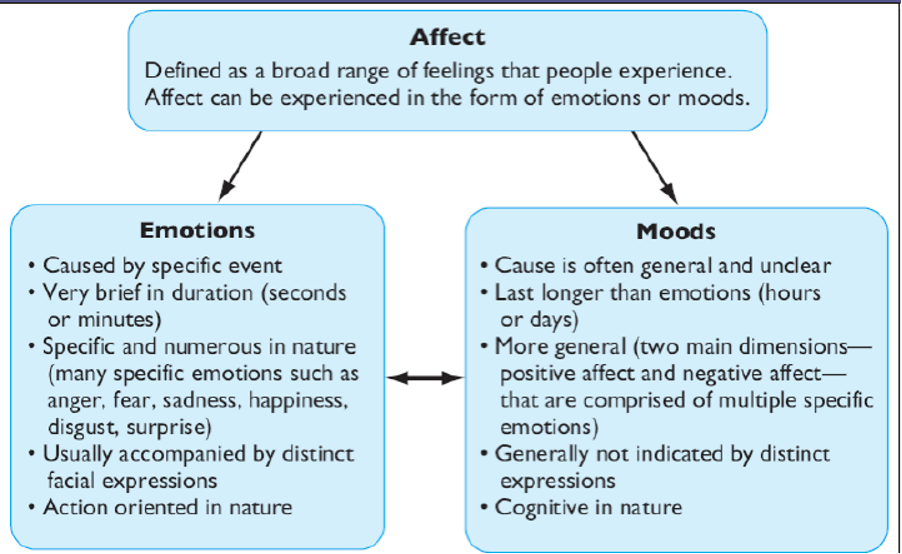 Chapter 1: Intro to OB.. Organizational Behavior studies the… | by ...