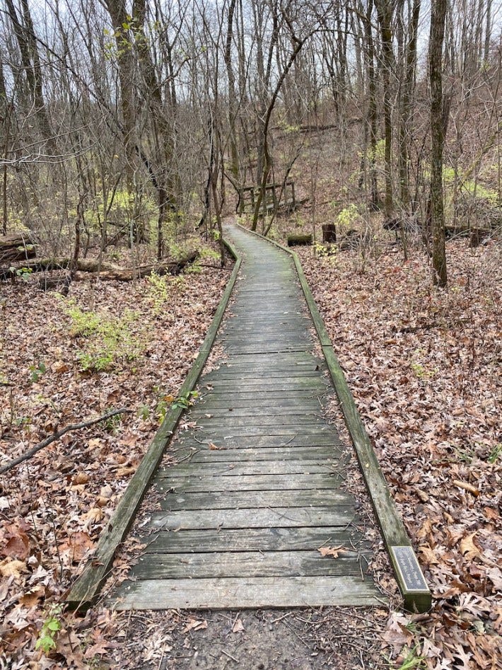 Much to Explore at Babler State Park | by Todd Smith | Medium
